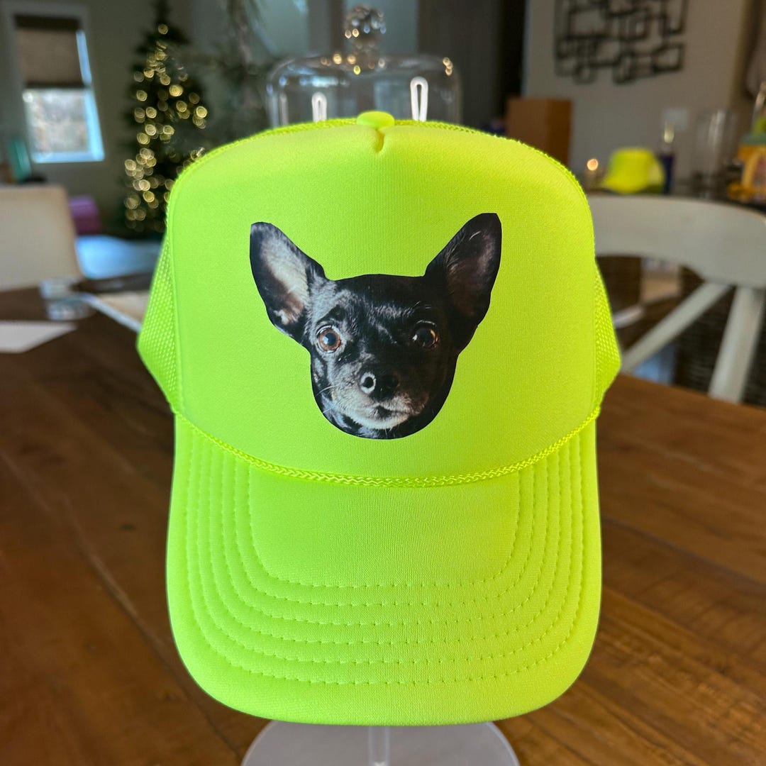 Custom Pet Hat Using Pet Photo, Custom Dog Hat, Custom Cat Hat ...