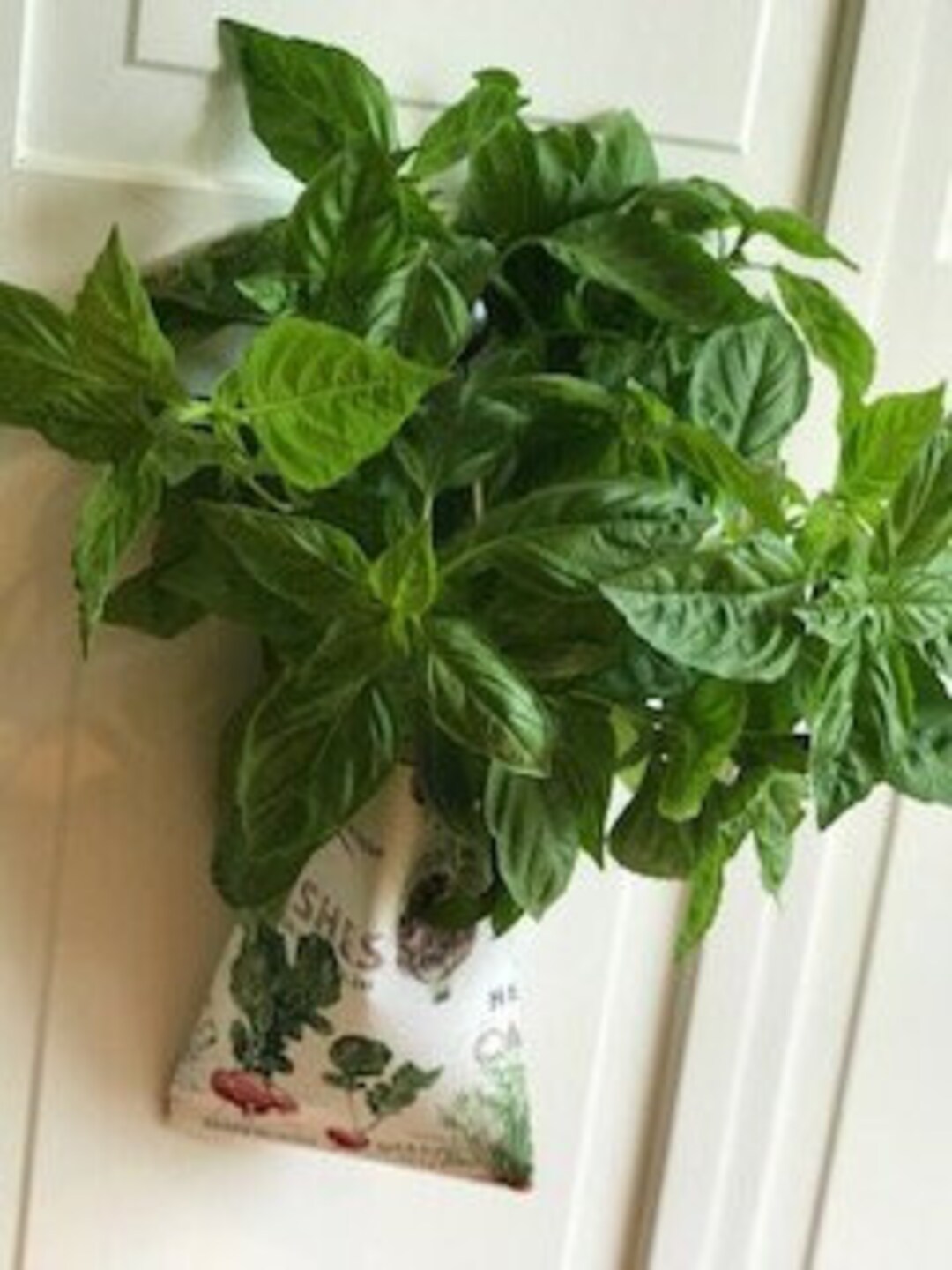 Hanging Flower Sack for Fresh Cut Flowers and Herbs. Veggie Fabric May ...