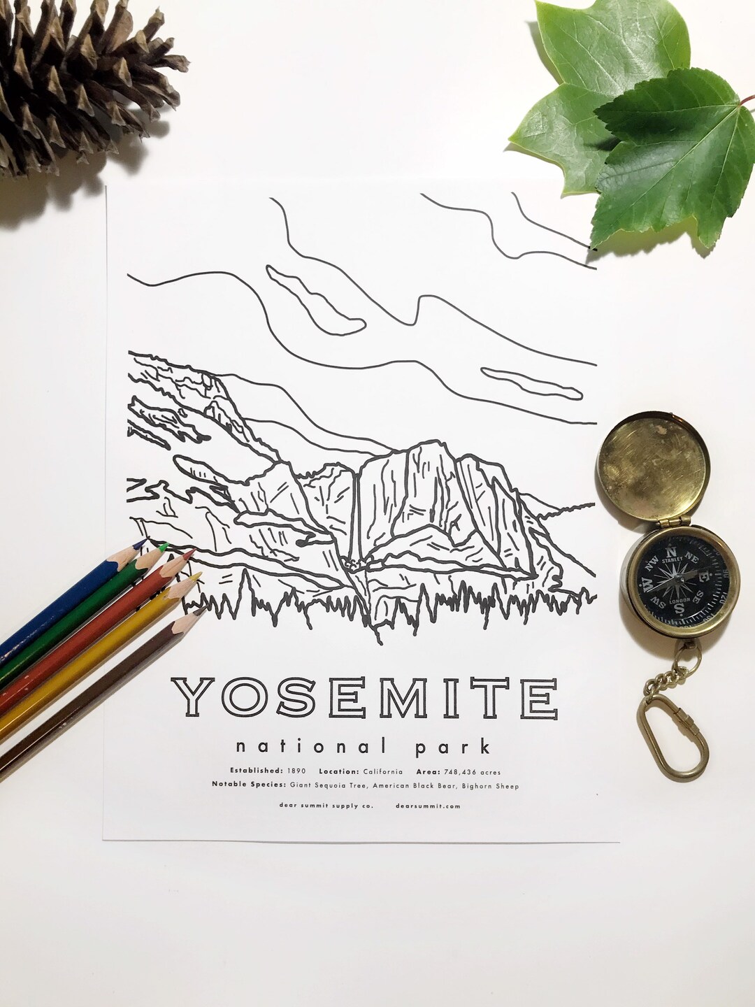 National Park Coloring Page. Yosemite Coloring Sheet. Adult Coloring ...