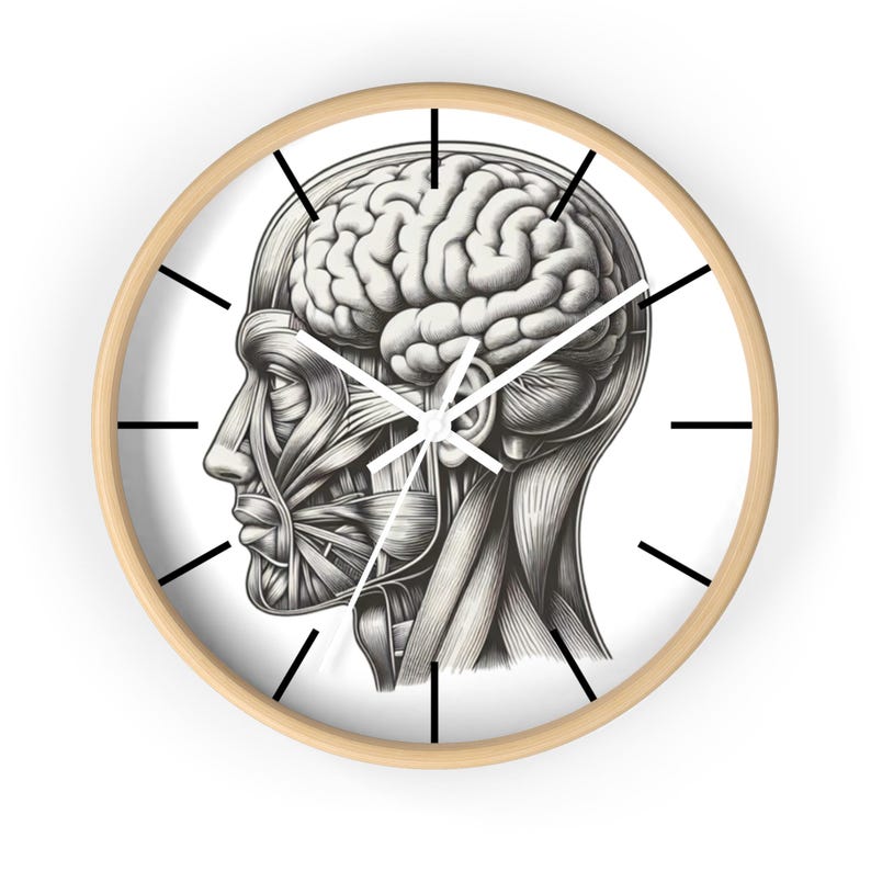 SLP Anatomy Wall Clock - Etsy