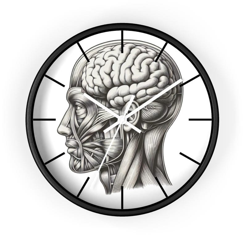 SLP Anatomy Wall Clock - Etsy