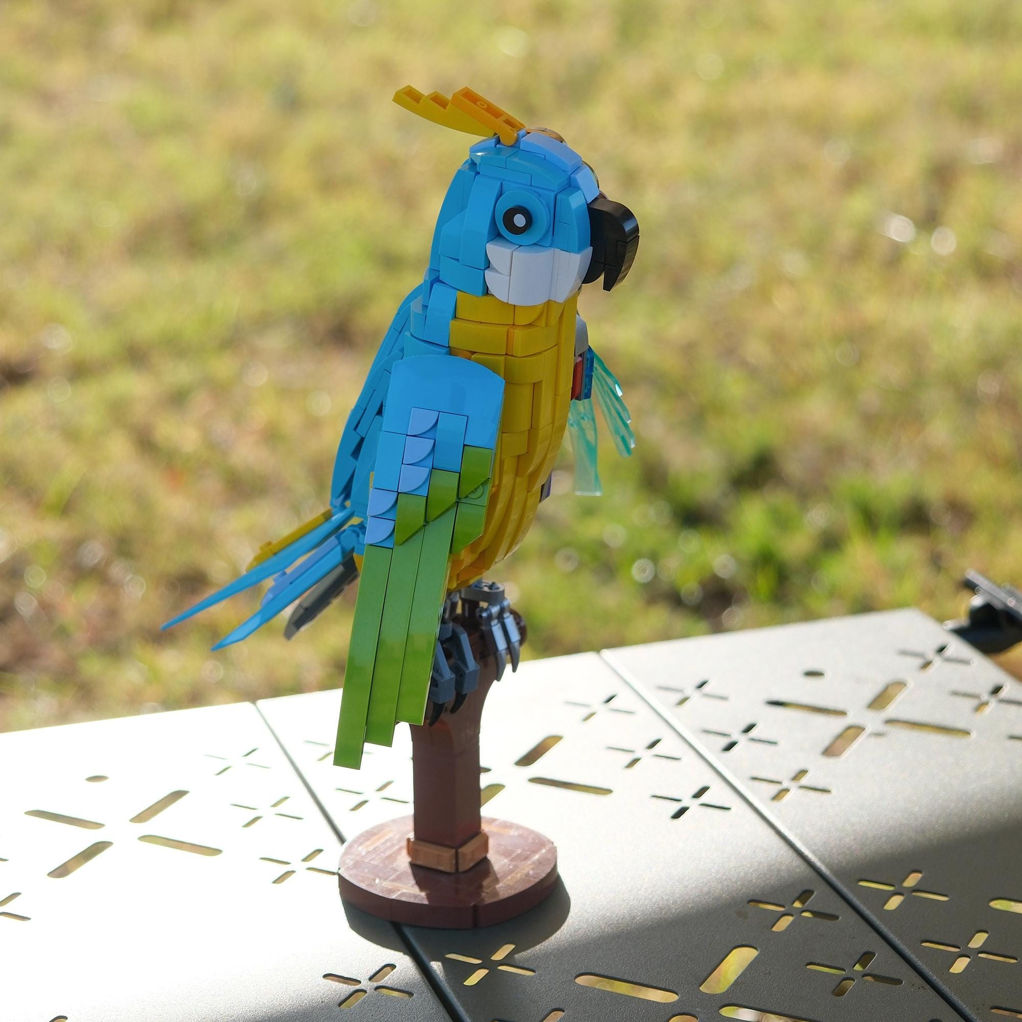 Parrot Block Sets, Bird-themed Building Blocks, Gifts for Bird Lovers ...