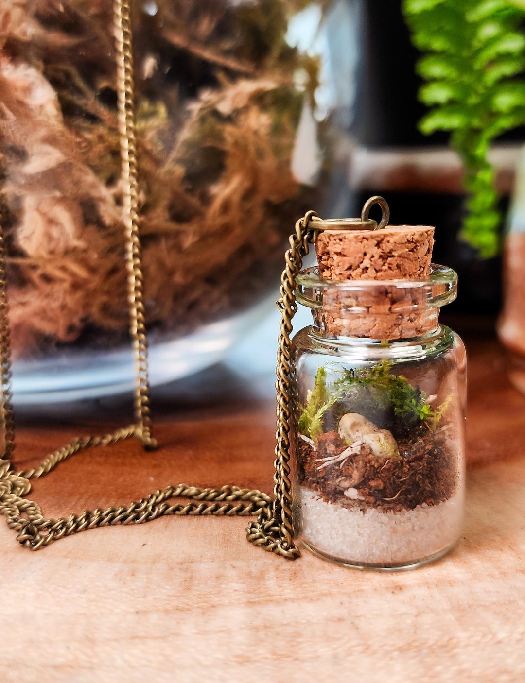 Terrarium Necklace, Moss Necklace, Live Moss Jewelry, Nature Jewelry - Etsy