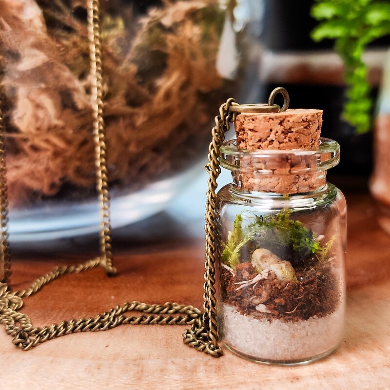Terrarium Necklace - Etsy