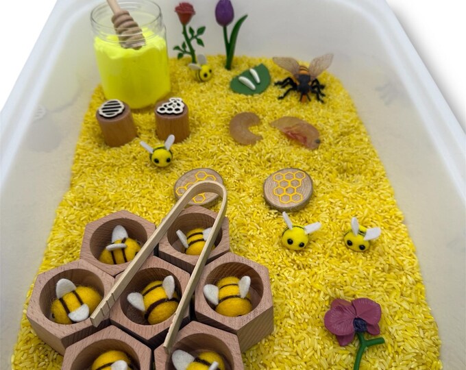 Educational Bee Themed Sensory Play Kit With Motor Skills Practice ...