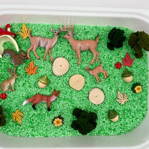 Forest Animal and Foraging Sensory Bin, Woodland Animals, North ...