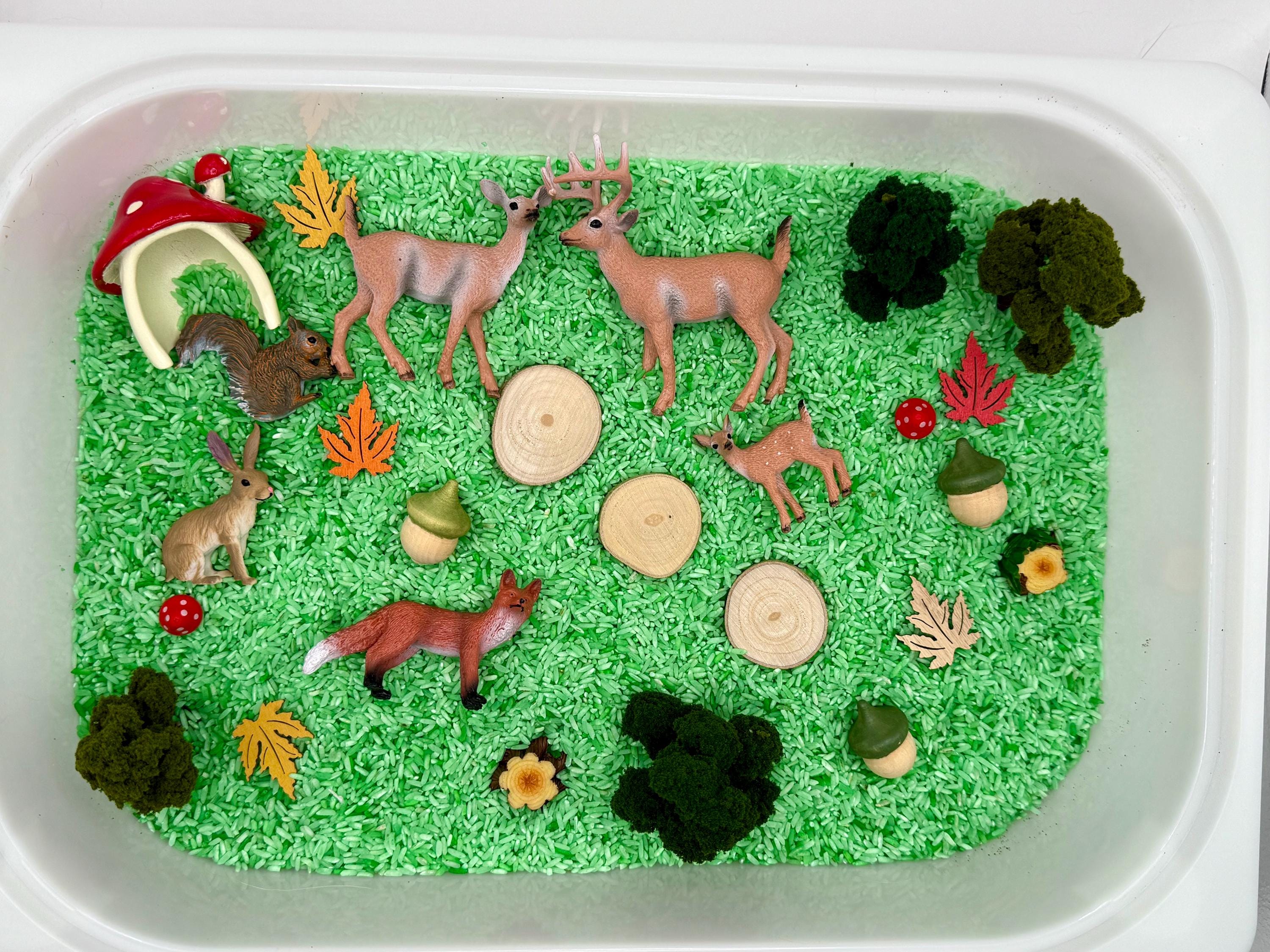 Forest Animal and Foraging Sensory Bin, Woodland Animals, North ...