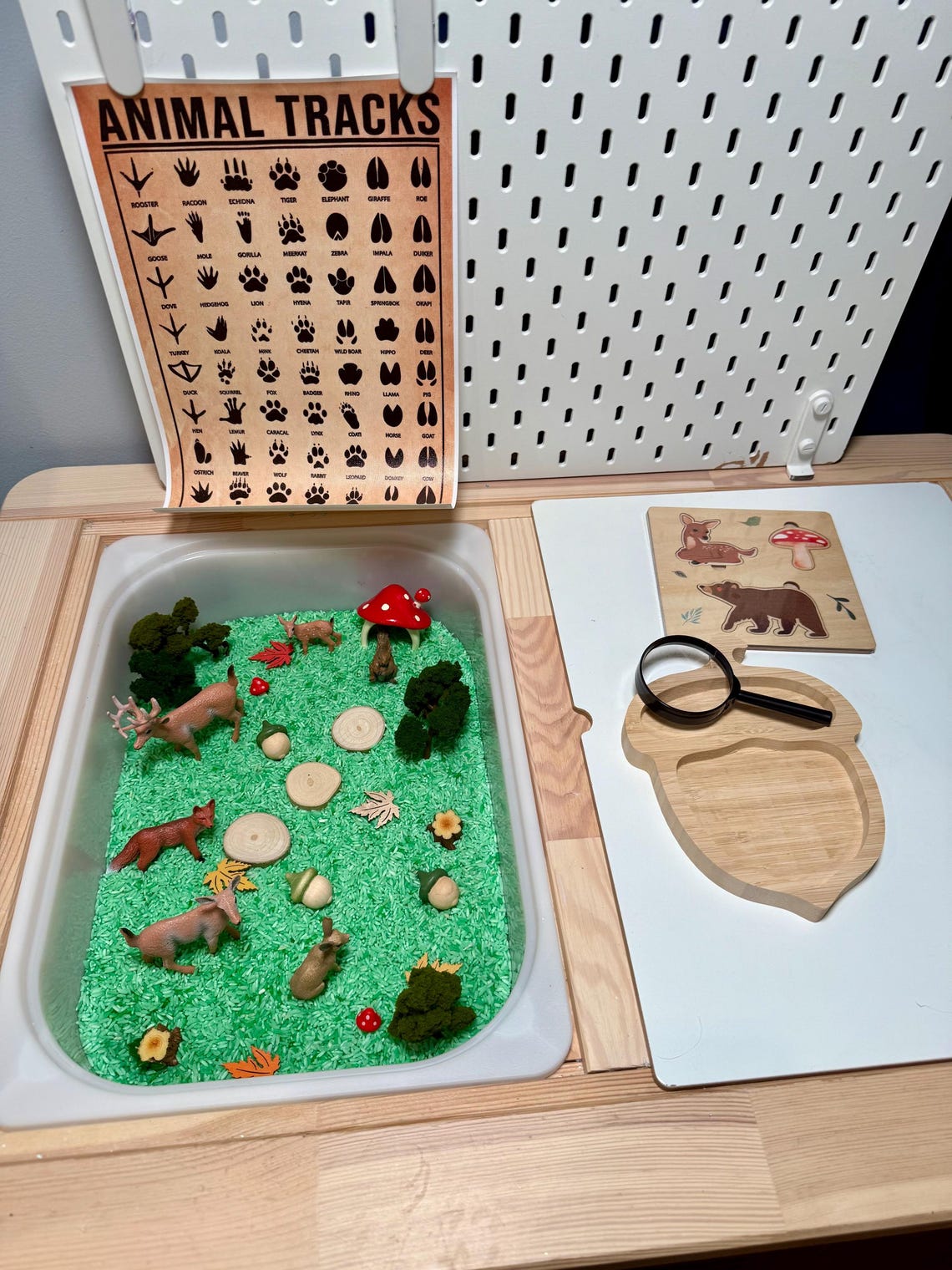 Forest Animal and Foraging Sensory Bin, Woodland Animals, North ...