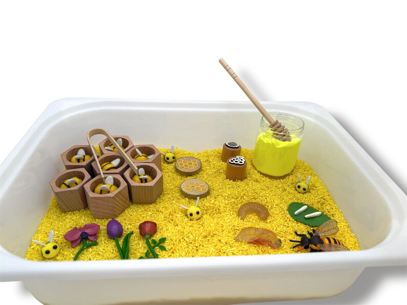 Educational Bee Themed Sensory Play Kit With Motor Skills Practice ...