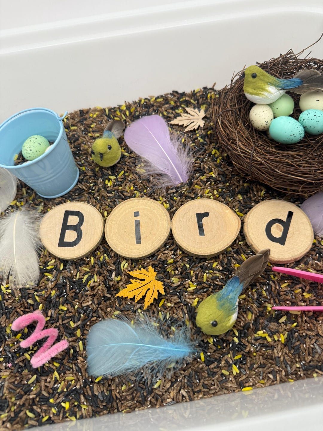 Bird Themed Sensory Play Set - Etsy