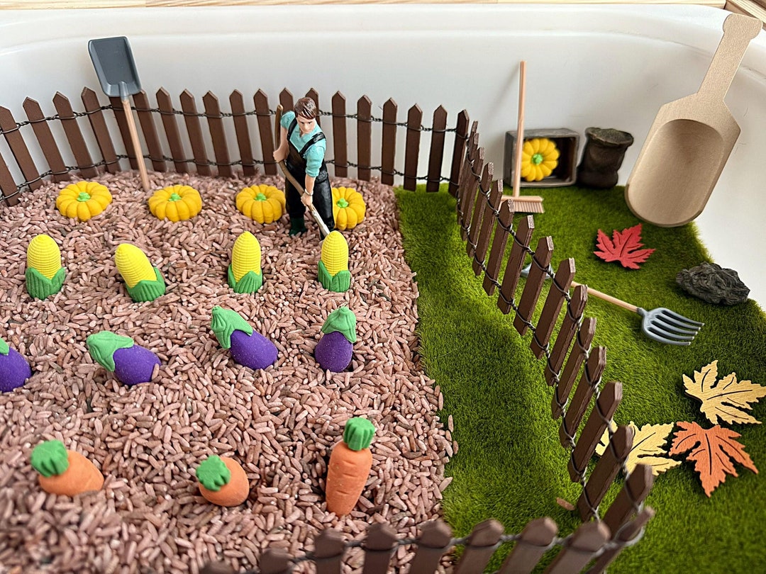 Harvest Matching Sensory Bin: Garden, Sensory Bin, Daycare, Farm, Match ...