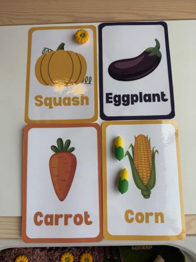 Vegetable Farm Garden Sensory Bin With Matching Game - Etsy