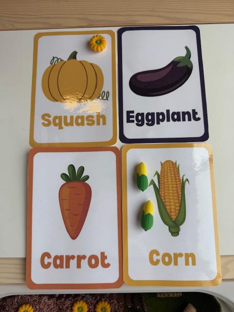 Harvest Matching Sensory Bin: Garden, Sensory Bin, Daycare, Farm, Match ...
