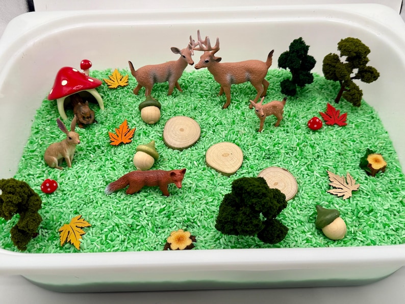 Forest Animal and Foraging Sensory Bin, Woodland Animals, North ...