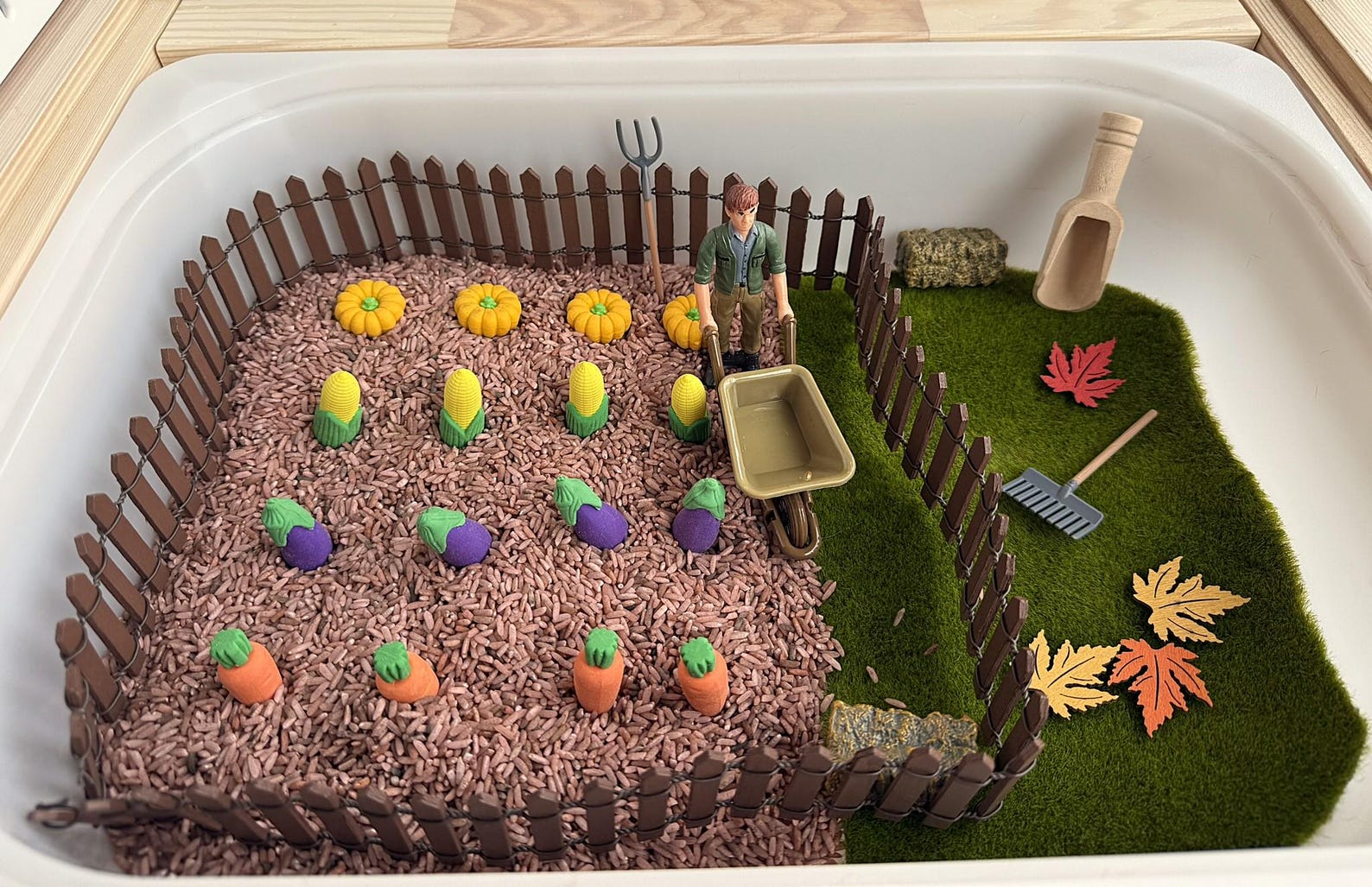 Vegetable Farm Garden Sensory Bin With Matching Game - Etsy