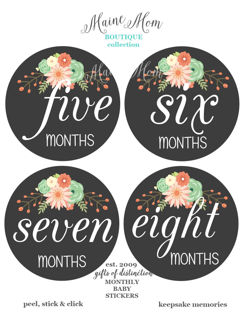 FREE GIFTS 16 stickers Baby Girl Monthly Stickers Baby Month | Etsy