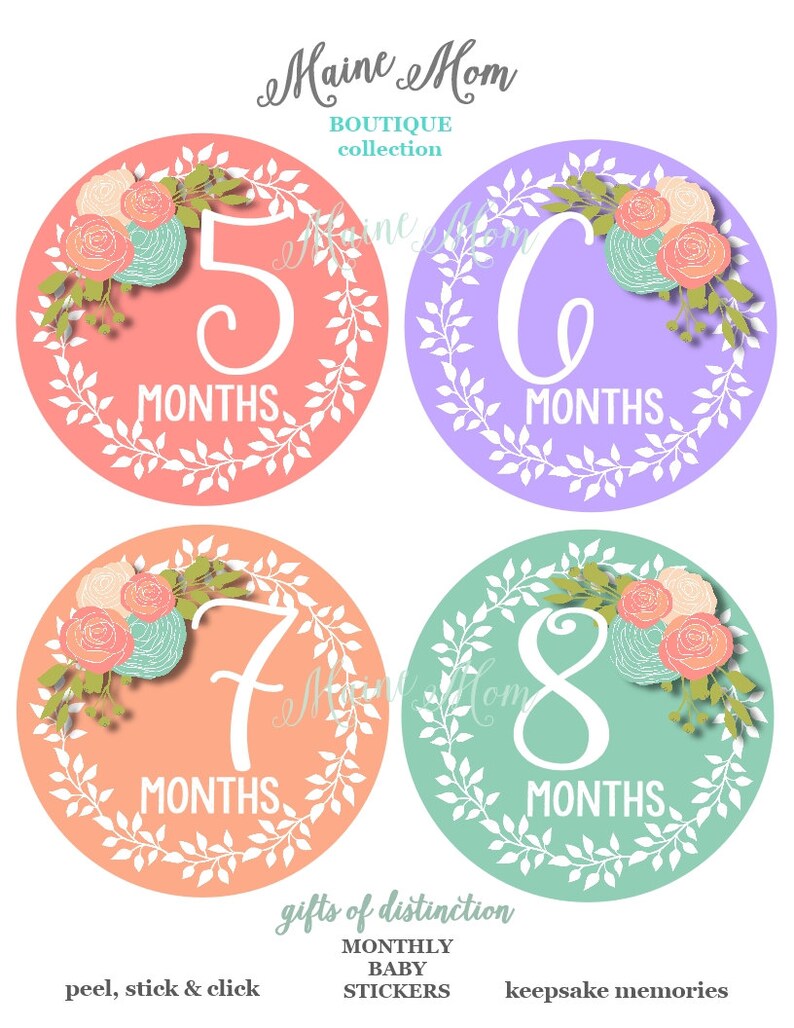 FREE GIFTS Baby Girl Month Stickers Monthly Baby Girl - Etsy