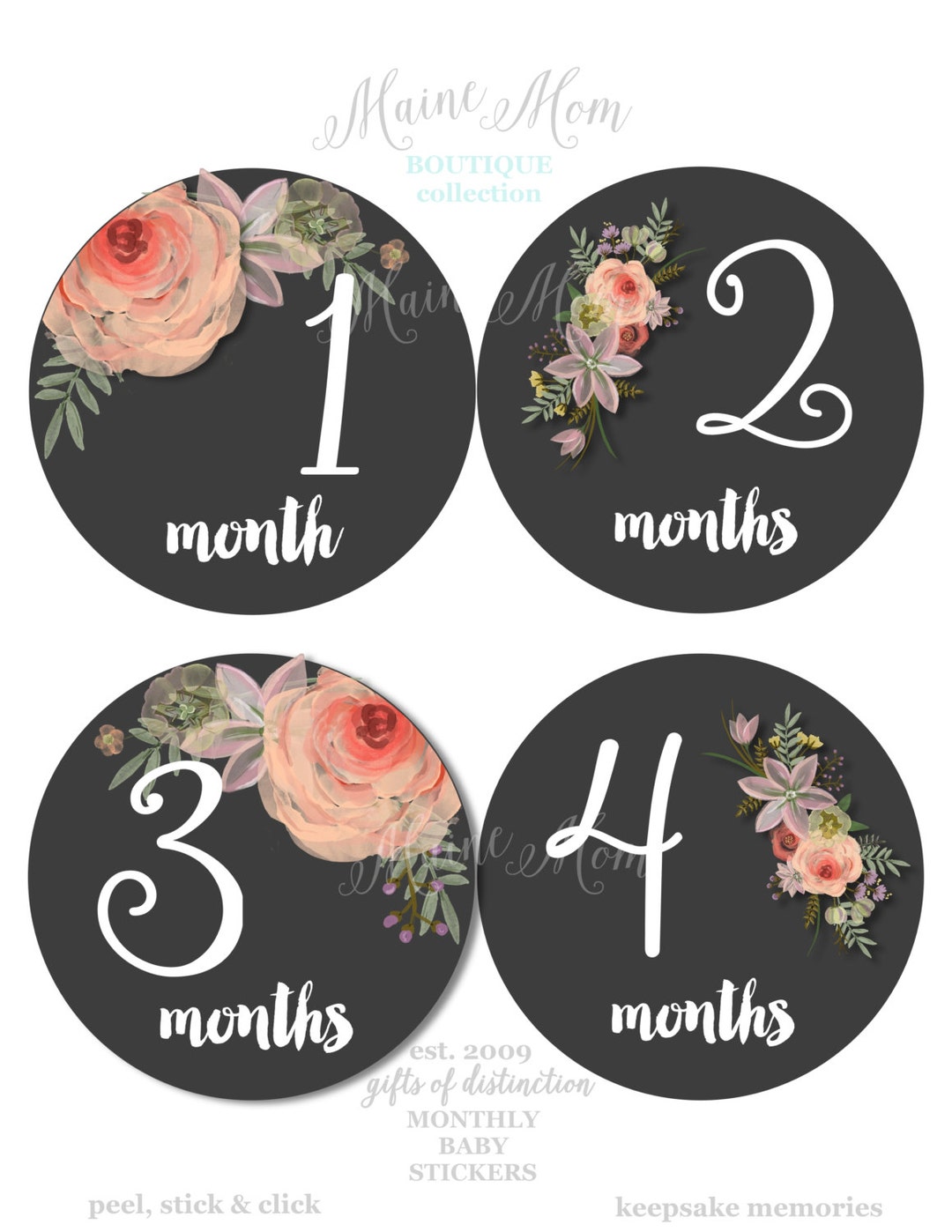 FREE GIFTS Baby Girl Monthly Stickers, Baby Month Stickers, Baby ...