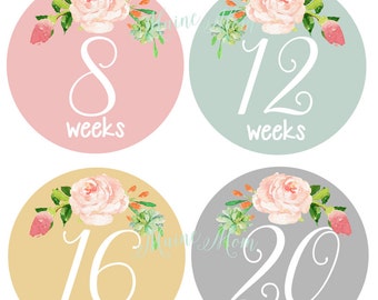 GIFT Pregnancy Belly Stickers Watercolor Roses Weekly - Etsy