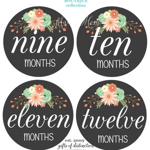 FREE GIFTS 16 Stickers Baby Girl Monthly Stickers Baby Month - Etsy