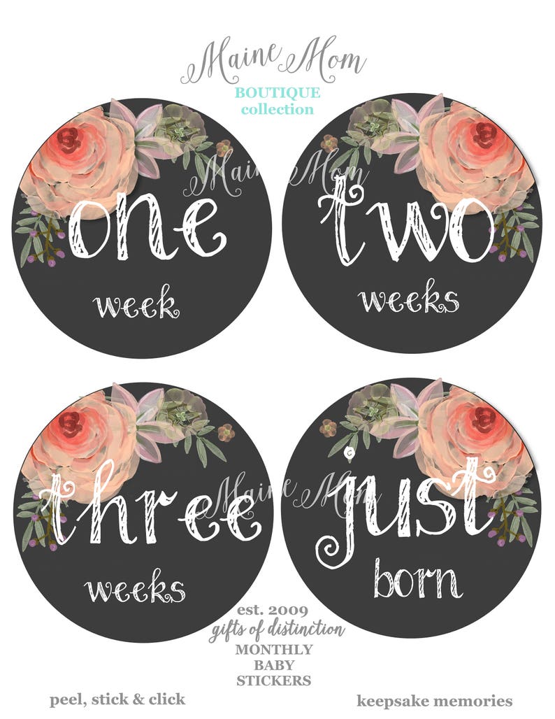 FREE GIFTS Baby Girl Monthly Stickers Month Baby Stickers | Etsy