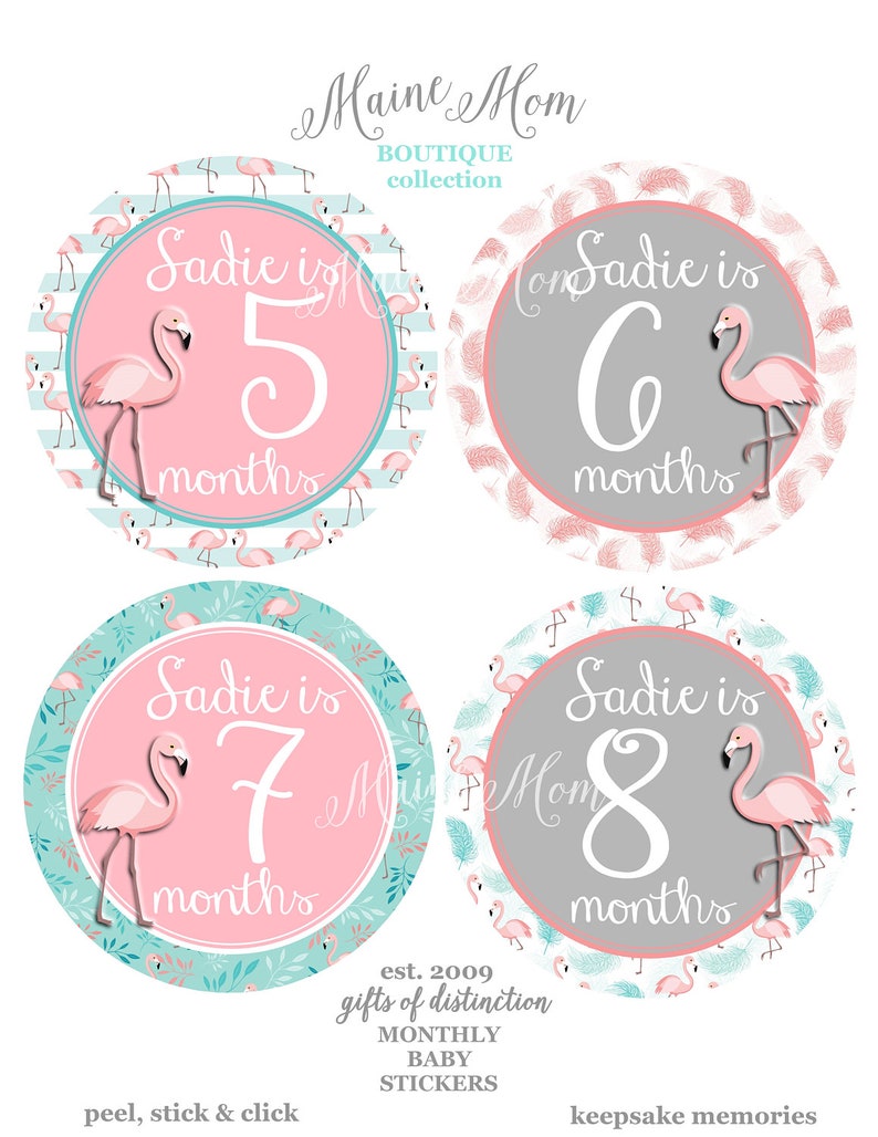 FREE GIFTS PERSONALIZED Baby Girl Monthly Stickers Baby | Etsy