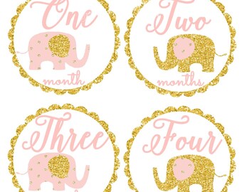 Pink Zoo Monthly Baby Sticker Girl Baby Month Sticker - Etsy