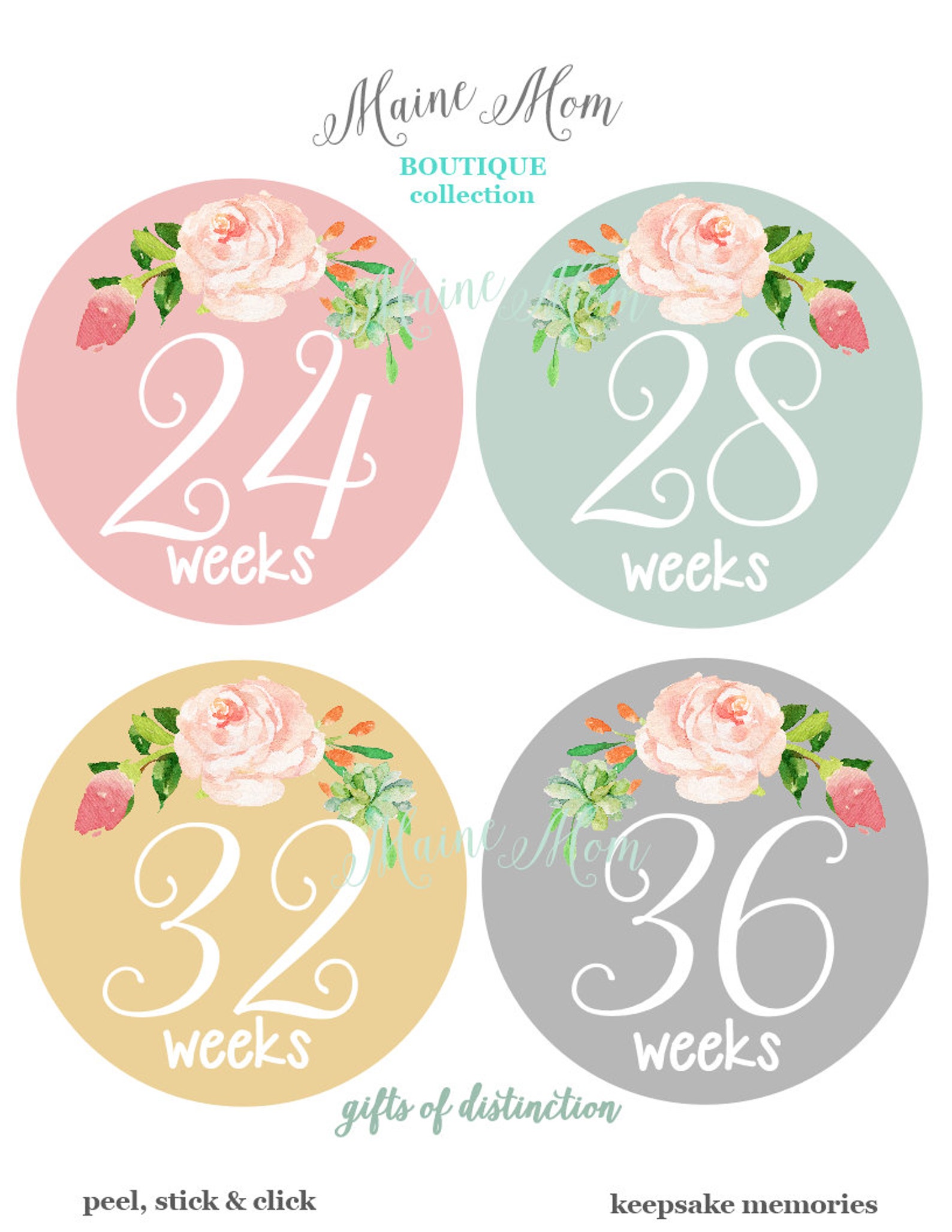 GIFT Pregnancy Belly Stickers Watercolor Roses Weekly - Etsy