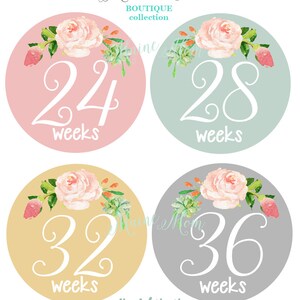 GIFT, Pregnancy Belly Stickers, Watercolor Roses, Weekly Pregnancy ...