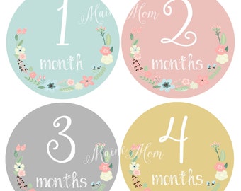 Month Sticker Baby Month Stickers Baby Monthly Stickers Boy Month ...