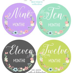 FREE GIFTS 12 Colors, Baby Girl Month Stickers, Monthly Baby Stickers ...