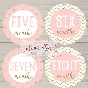 FREE GIFTS Monthly Baby Girl Stickers, Milestone Stickers, Baby Girl ...