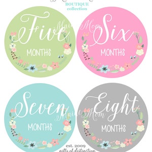 FREE GIFTS 12 Colors, Baby Girl Month Stickers, Monthly Baby Stickers ...