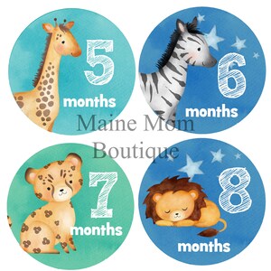 FREE GIFTS 16 Stickers Safari Animals Baby Monthly Stickers, Month ...