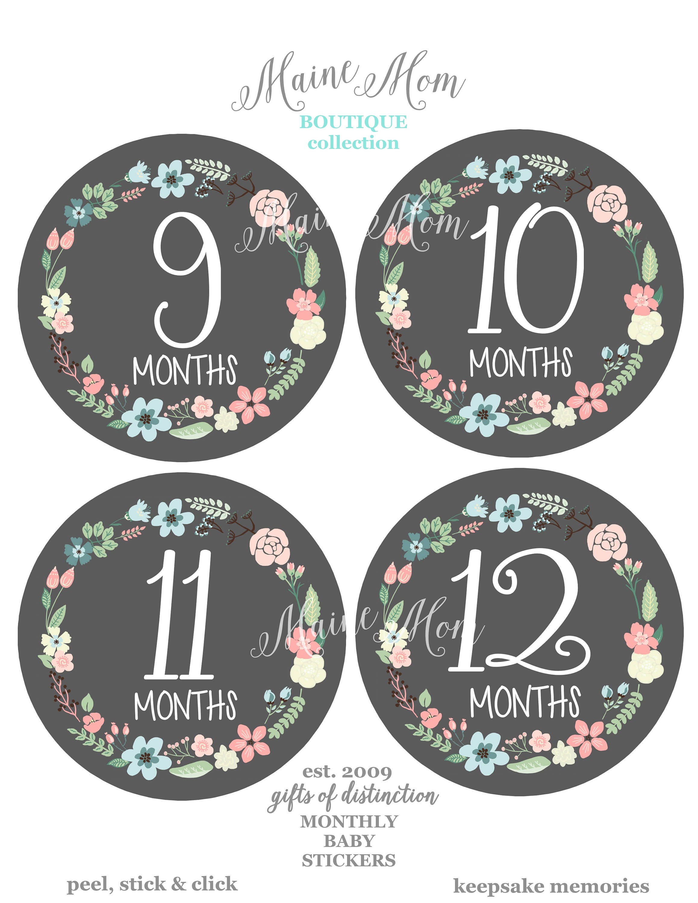 FREE GIFTS Baby Girl Month Stickers Baby Monthly Stickers | Etsy