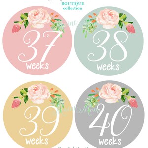 GIFT, Pregnancy Belly Stickers, Watercolor Roses, Weekly Pregnancy ...
