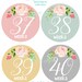 GIFT, Pregnancy Belly Stickers, Watercolor Roses, Weekly Pregnancy ...