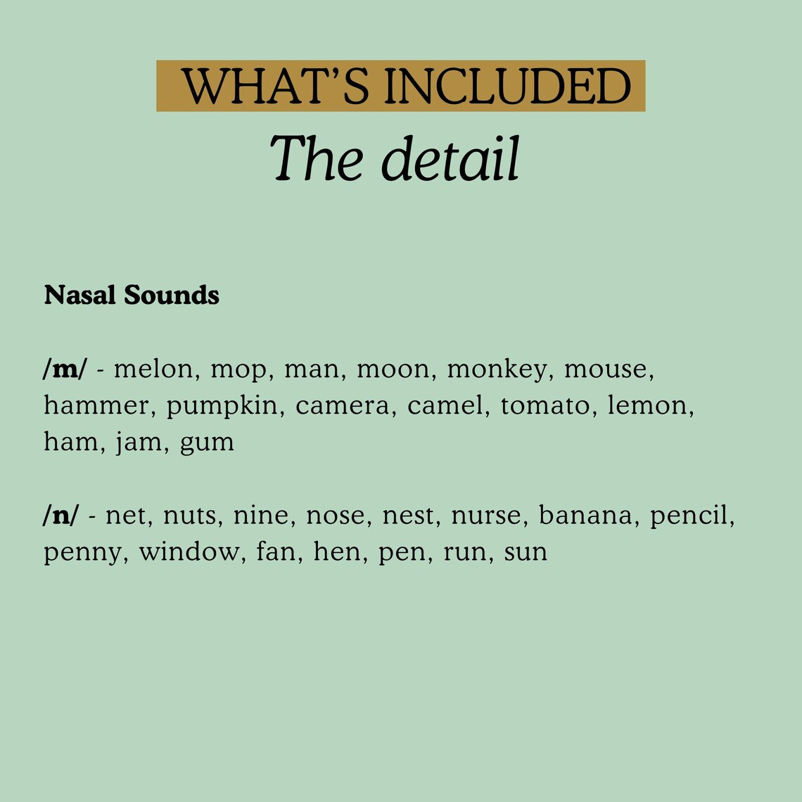 Speech Sound Nasals Photo Words for Speech and Language Therapy| Speech ...