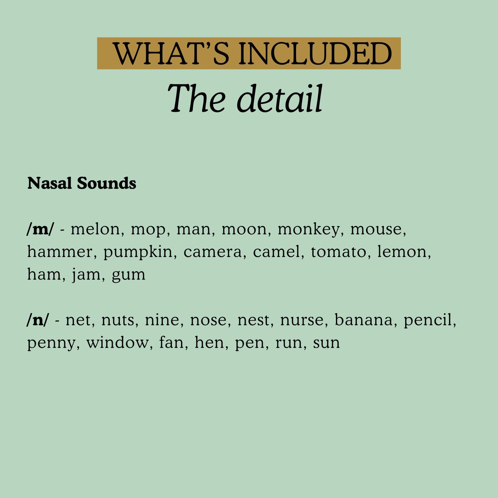 Speech Sound Nasals Photo Words for Speech and Language Therapy| Speech ...