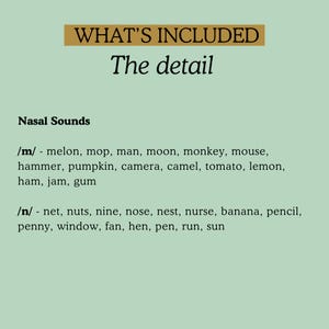 Speech Sound Nasals Photo Words for Speech and Language Therapy| Speech ...