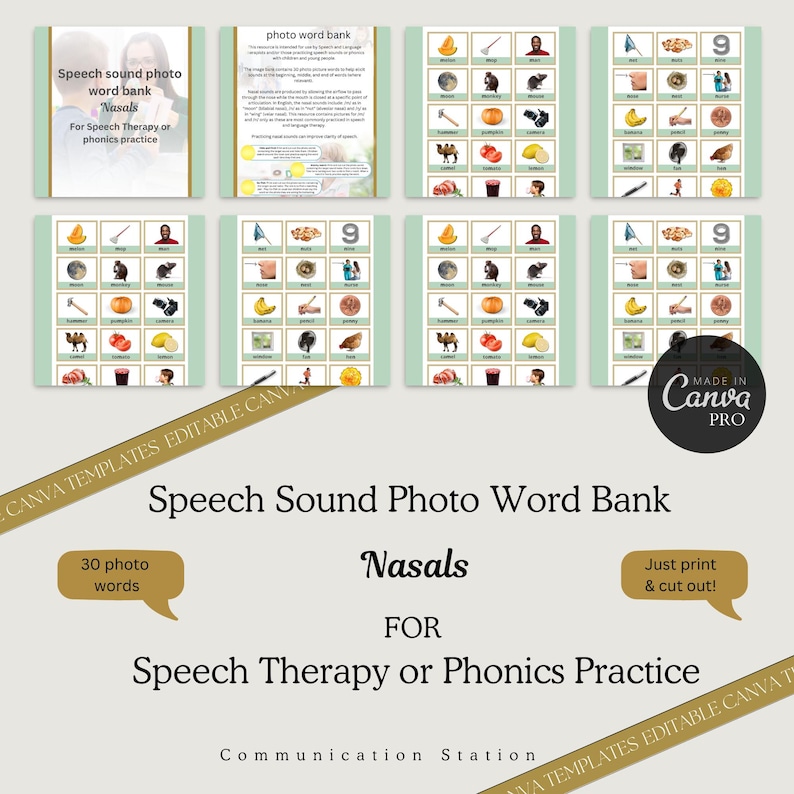 Speech Sound Nasals Photo Words for Speech and Language Therapy Speech ...