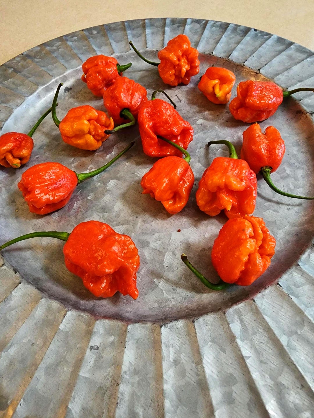 High-grade Carolina Reaper Pepper Seeds - Etsy