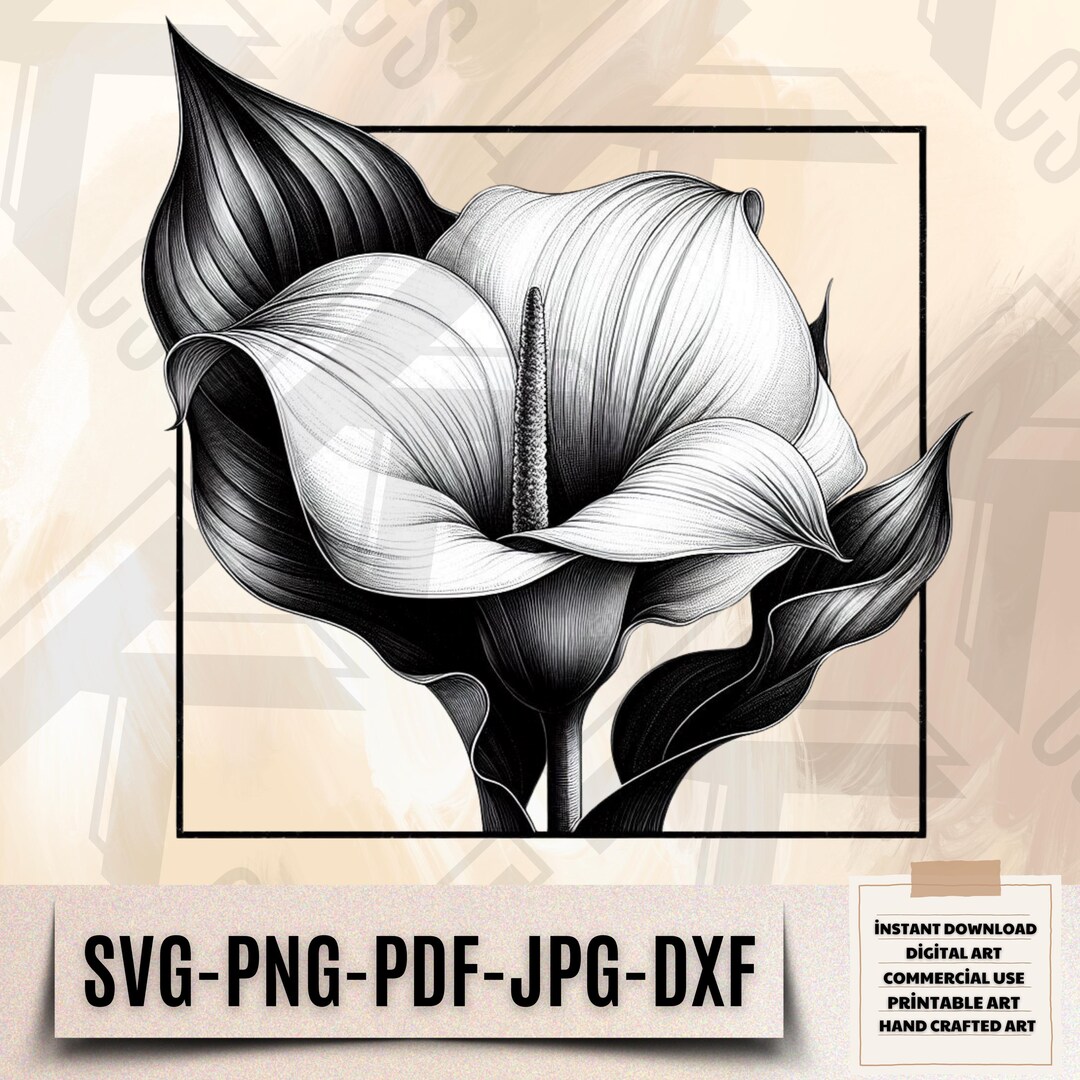 Calla Lily SVG - Elegant Black and White Flower Clipart - Botanical ...