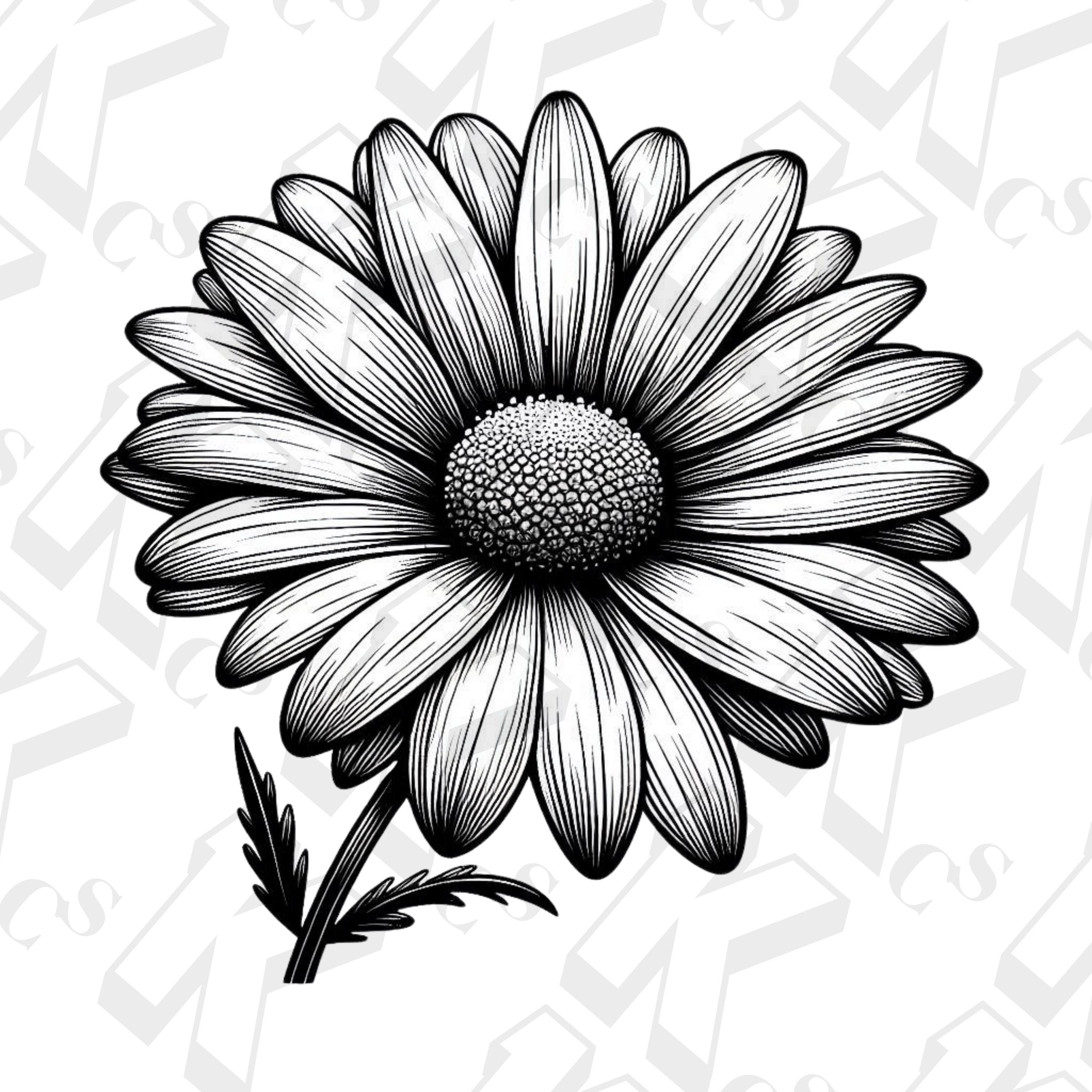 Daisy Svg, Daisy Art Png, Daisy Print Pdf, Flowers Svg, Rose Png, Rose ...