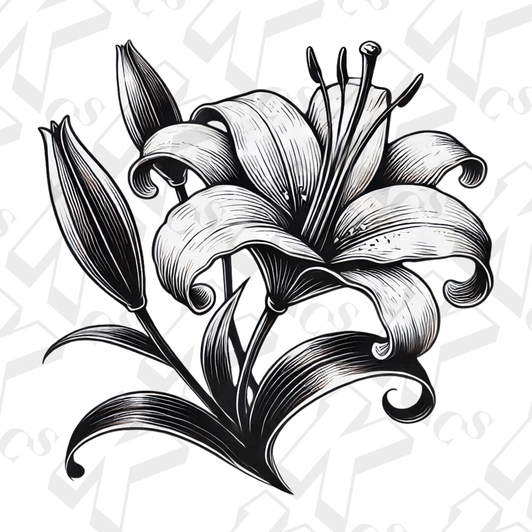 Lily Svg, Lily Art Png, Flowers Art Svg, Lily Blossom Dxf, Rose Art Pdf ...