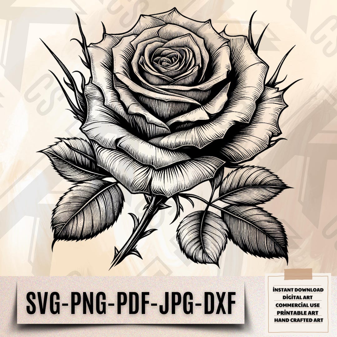 Rose Flower SVG - Elegant Floral Clipart - Roses PNG - Rose Outline Art - Vintage Flower SVG ...