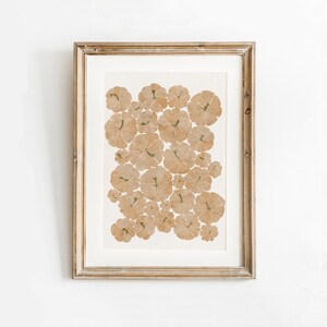 Printable Fall Decor, Neutral Color Pumpkins Fall Print, Autumn ...