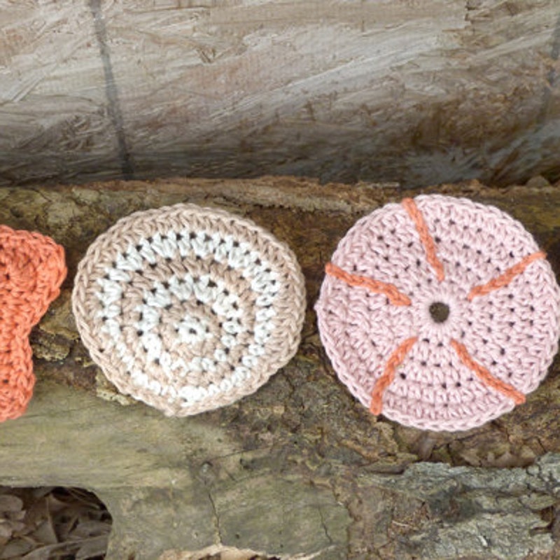 Diy Shell Coaster Kit - Etsy