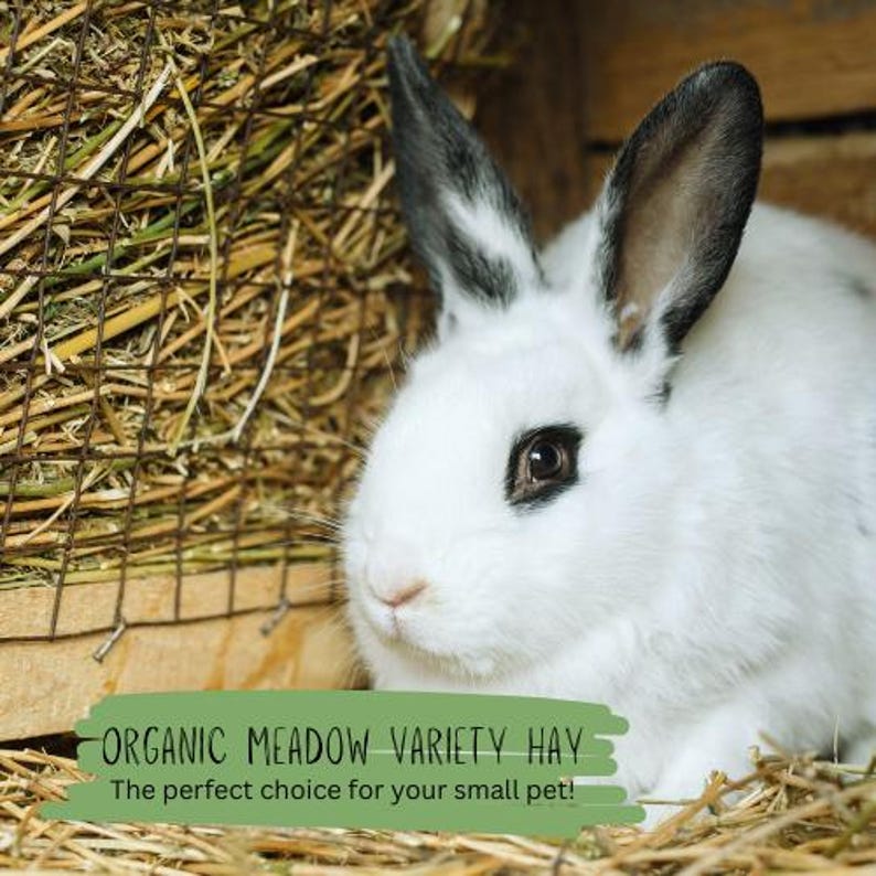 Hay, Organic Meadow Grass Hay for Bunnies, Hamsters, Ferrets, Gerbils ...
