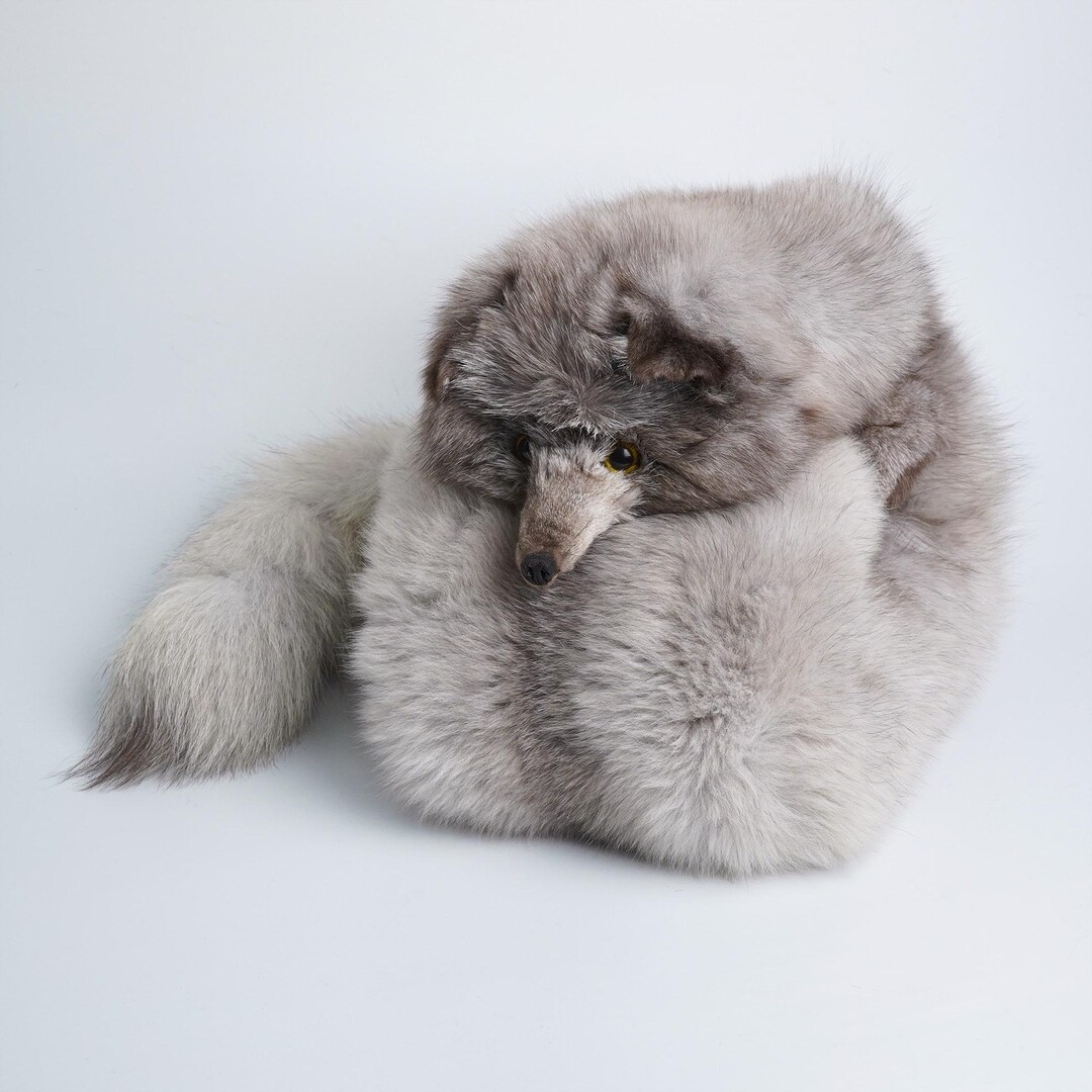 Complete Fox Fur Muffler,whole Pelt Scarf,christmas Gift,plush Ears and ...